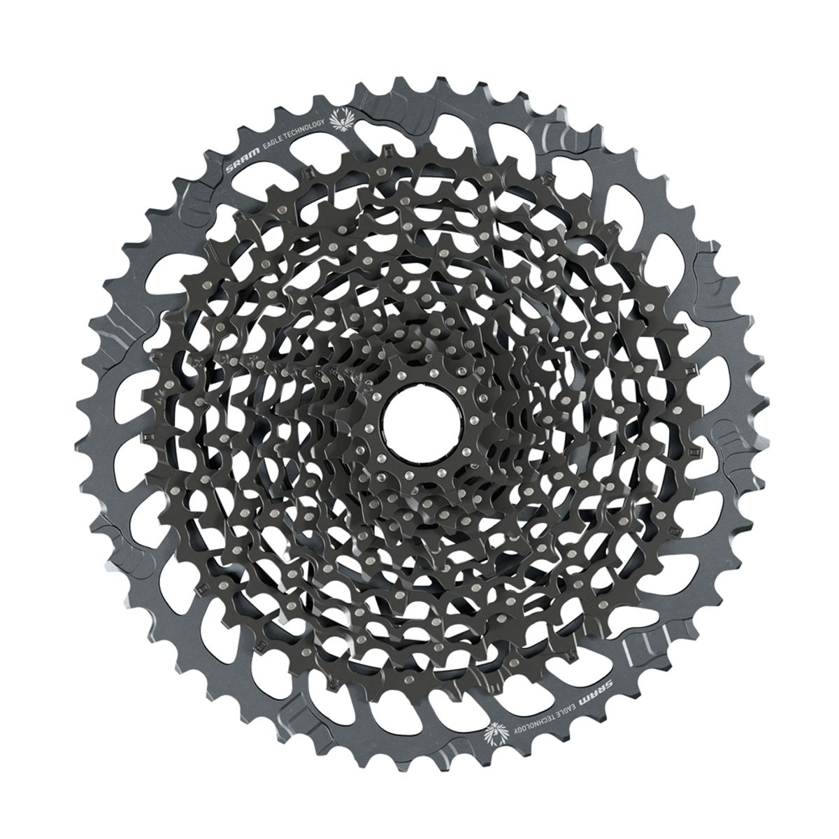 Piñon Eagle GX XD XG1275 10-52T 12V – Multibike